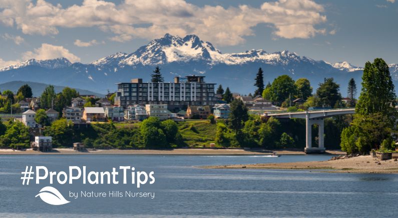 Bremerton, Washington: Native Favorites For Puget Sound Yards