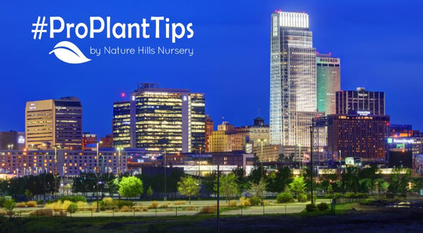 Best Plants For Omaha Gardens!