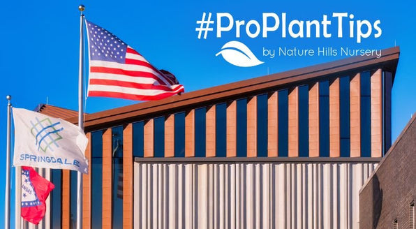 Native Plants for Springdale, AR | Nature Hills