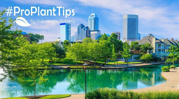 Best Plants for Indianapolis Gardens | Nature Hills