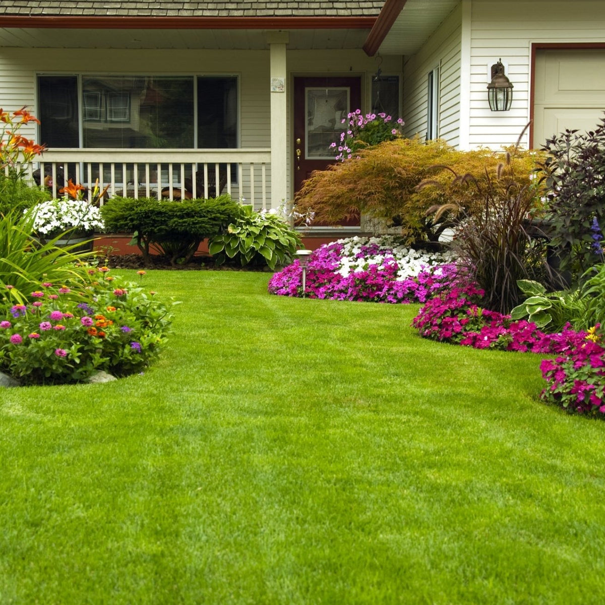Zone 6 Plants, Trees & Shrubs for Sale | Hardy to -10°F | Nature Hills