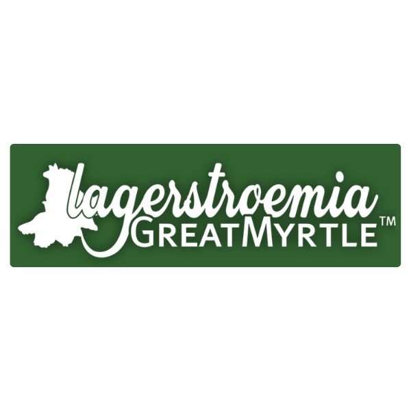 GreatMyrtle™ Crapemyrtles – Nature Hills Nursery